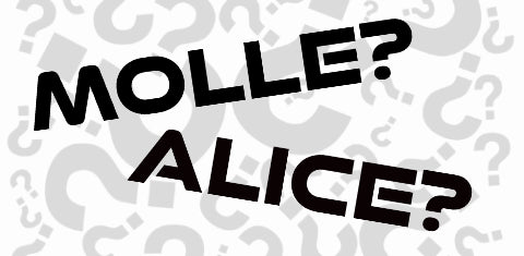 Who's MOLLE and ALICE? – McGuire Army Navy